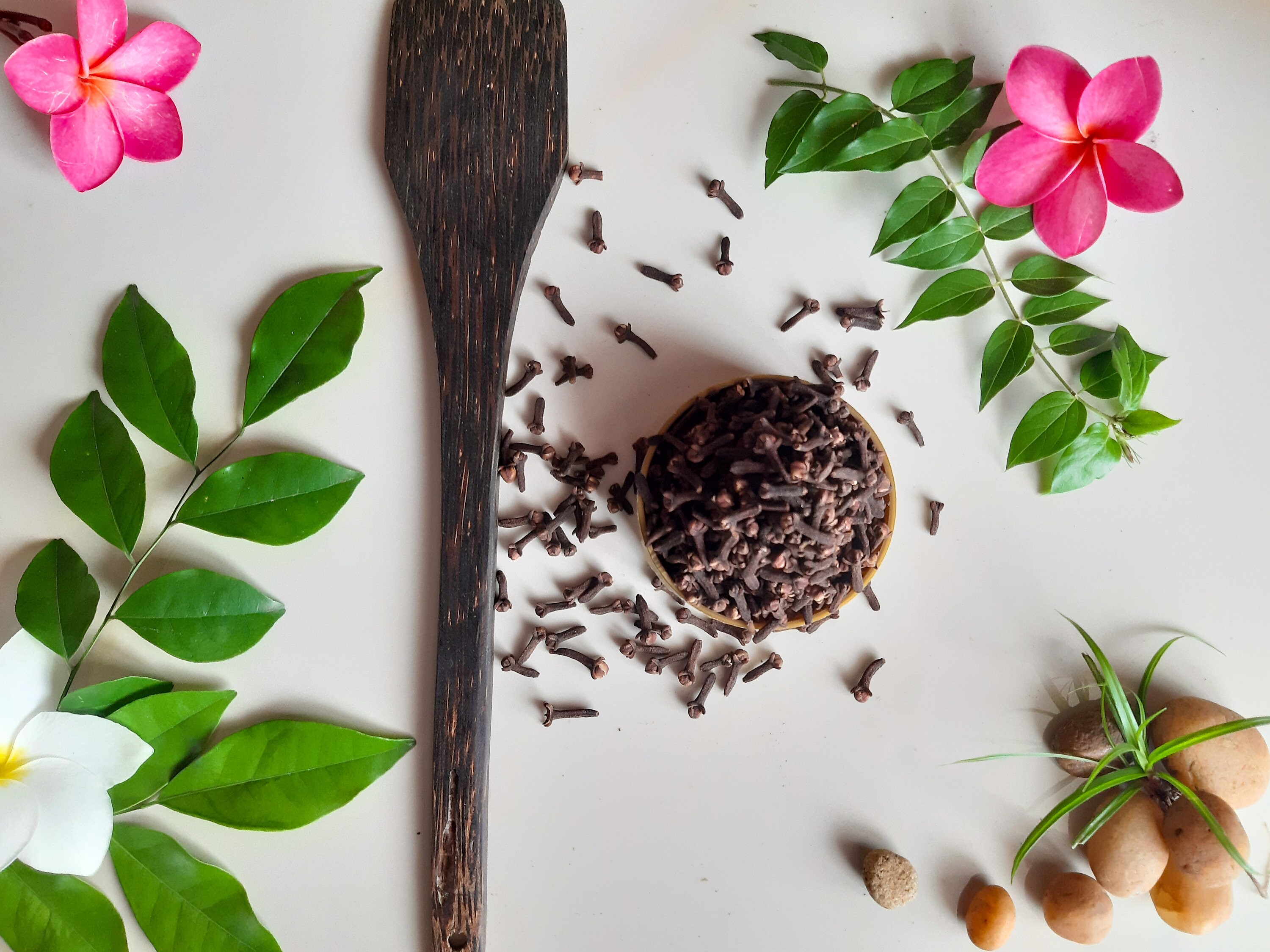 Ceylon Cloves karabu Neti Syzygium Aromaticum 100% Natural - Etsy