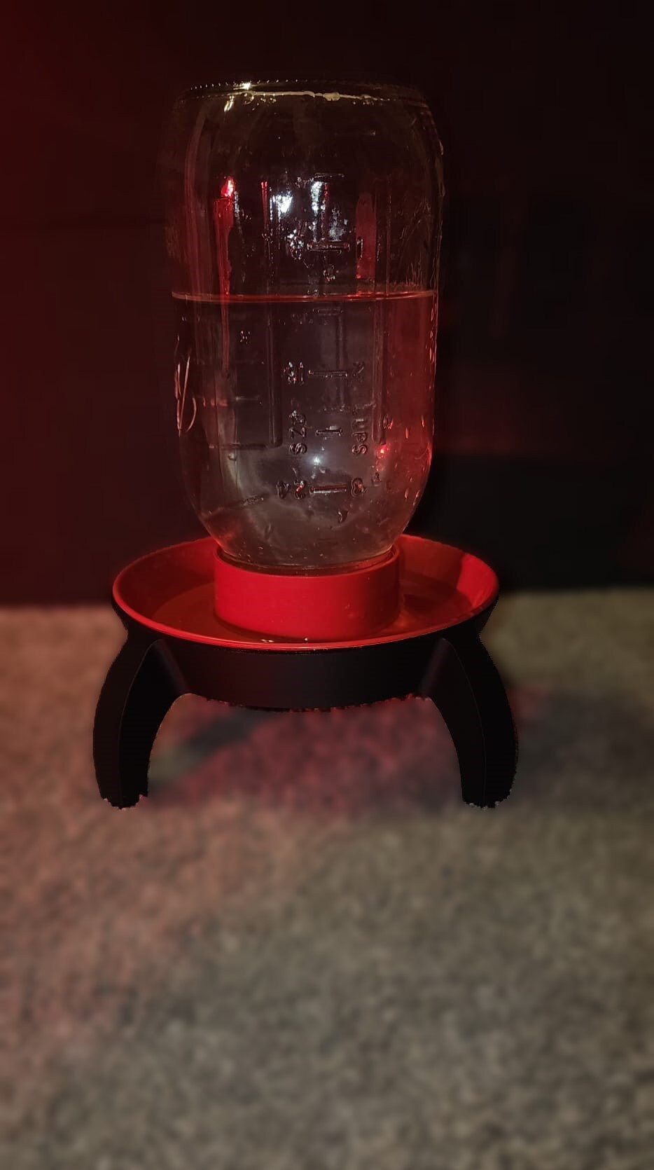 Baby Chicks One (1) Quart Water and Food Stand/riser for Backyard ...