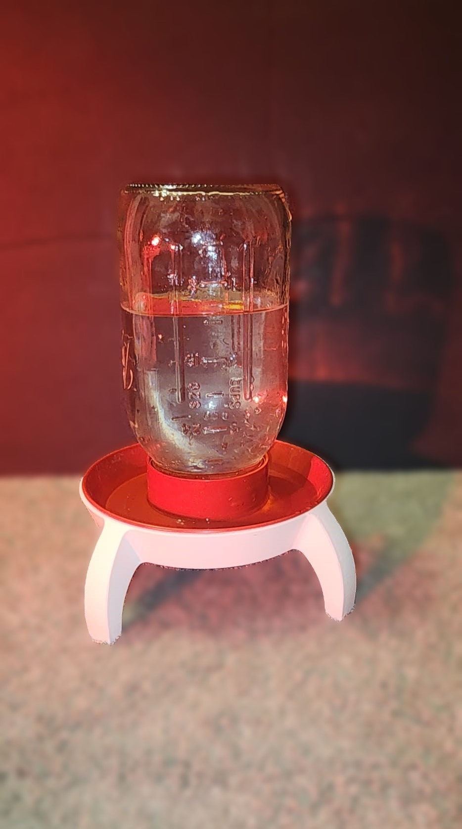 Baby Chicks One (1) Quart Water and Food Stand/riser for Backyard ...