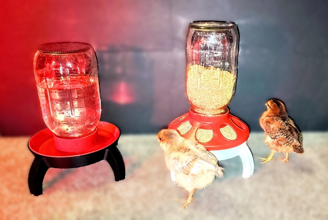 Baby Chicks One (1) Quart Water and Food Stand/riser for Backyard ...