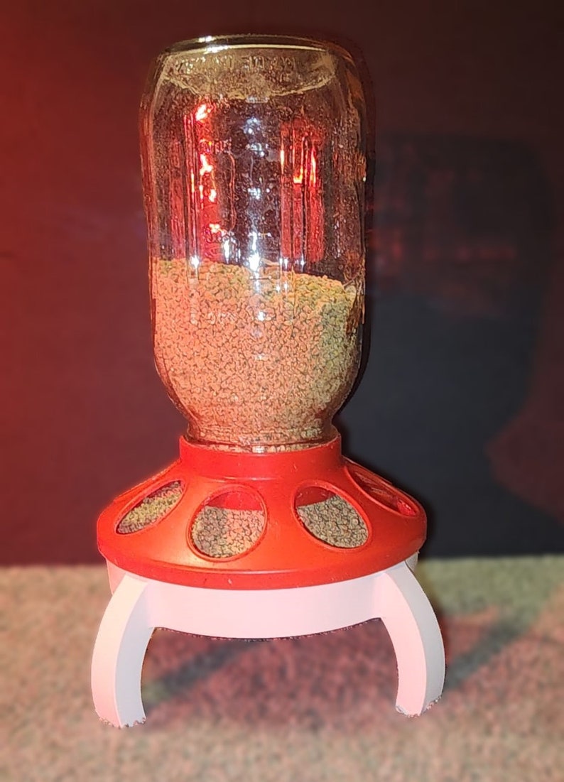 Baby Chicks One 1 Quart Water and Food Stand/riser for Backyard Poultry ...