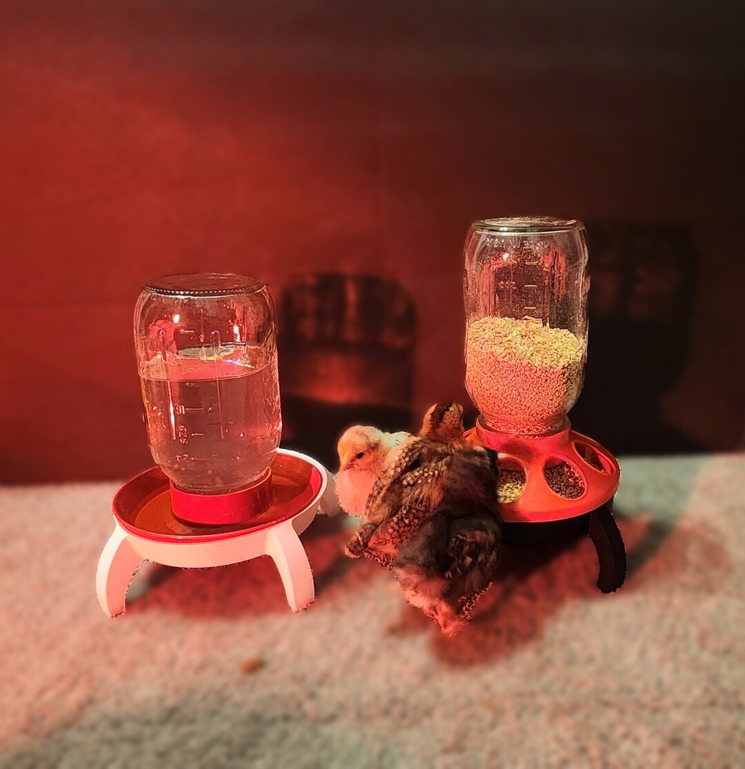 Baby Chicks One 1 Quart Water and Food Stand/riser for Backyard Poultry ...