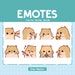 Animated Emote Cute Cat Has a Plan With Scheming Face / Emote for ...