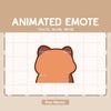 Animated Emote Cute White Cat is Hiding and Revealing His Face With His ...