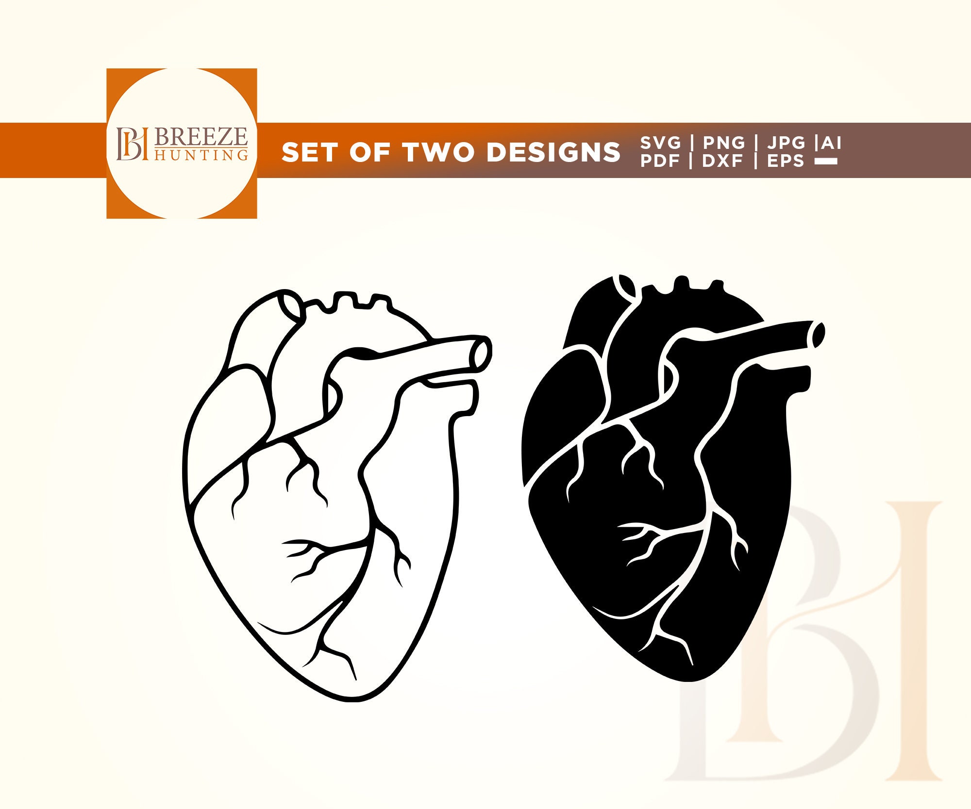 Anatomical Heart Svg, Heart Svg, Human Heart Clip Art Decal, Nurse Life ...