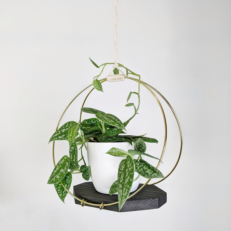 Modern Wooden Plant Hanger With Gold Hoops - Etsy