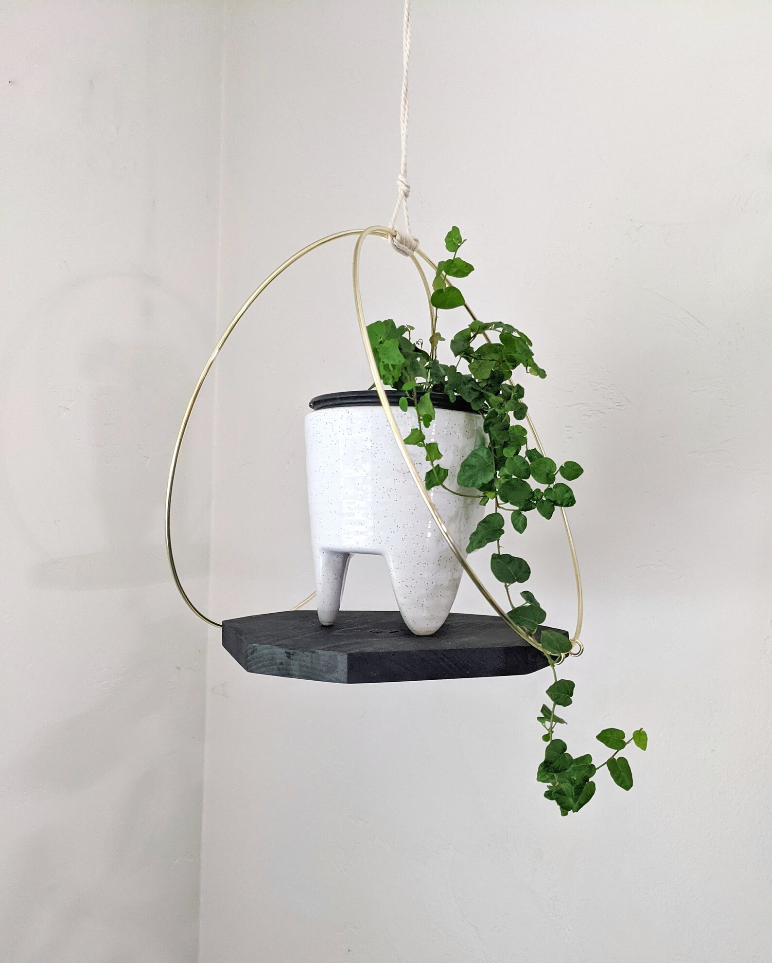 Large Plant Hanger with Wooden base and Gold Hoops | Etsy