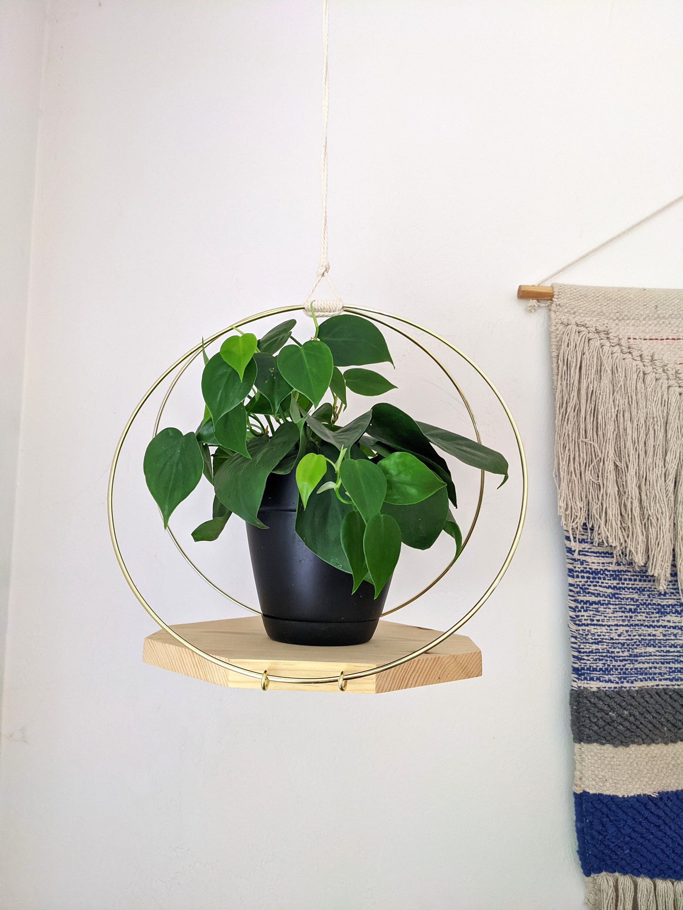 Large Plant Hanger with Wooden base and Gold Hoops | Etsy