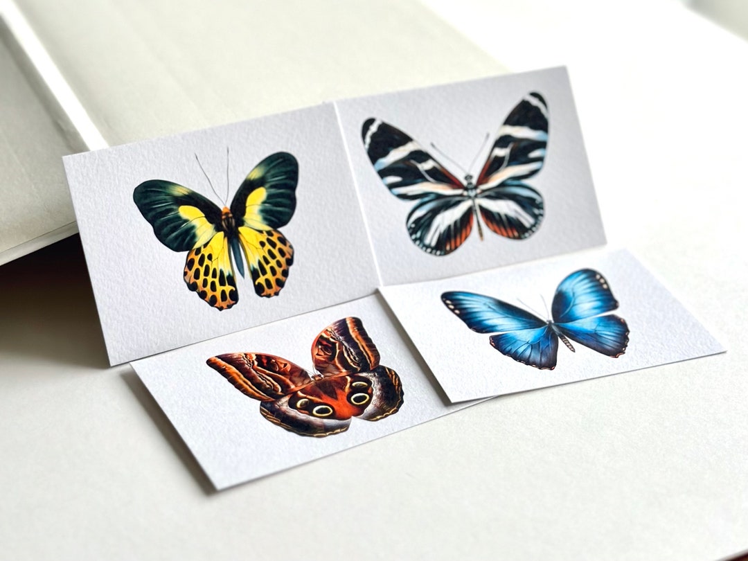 Nature-inspired Butterfly Bookmark Set: Elegant Gift for Book Lovers ...