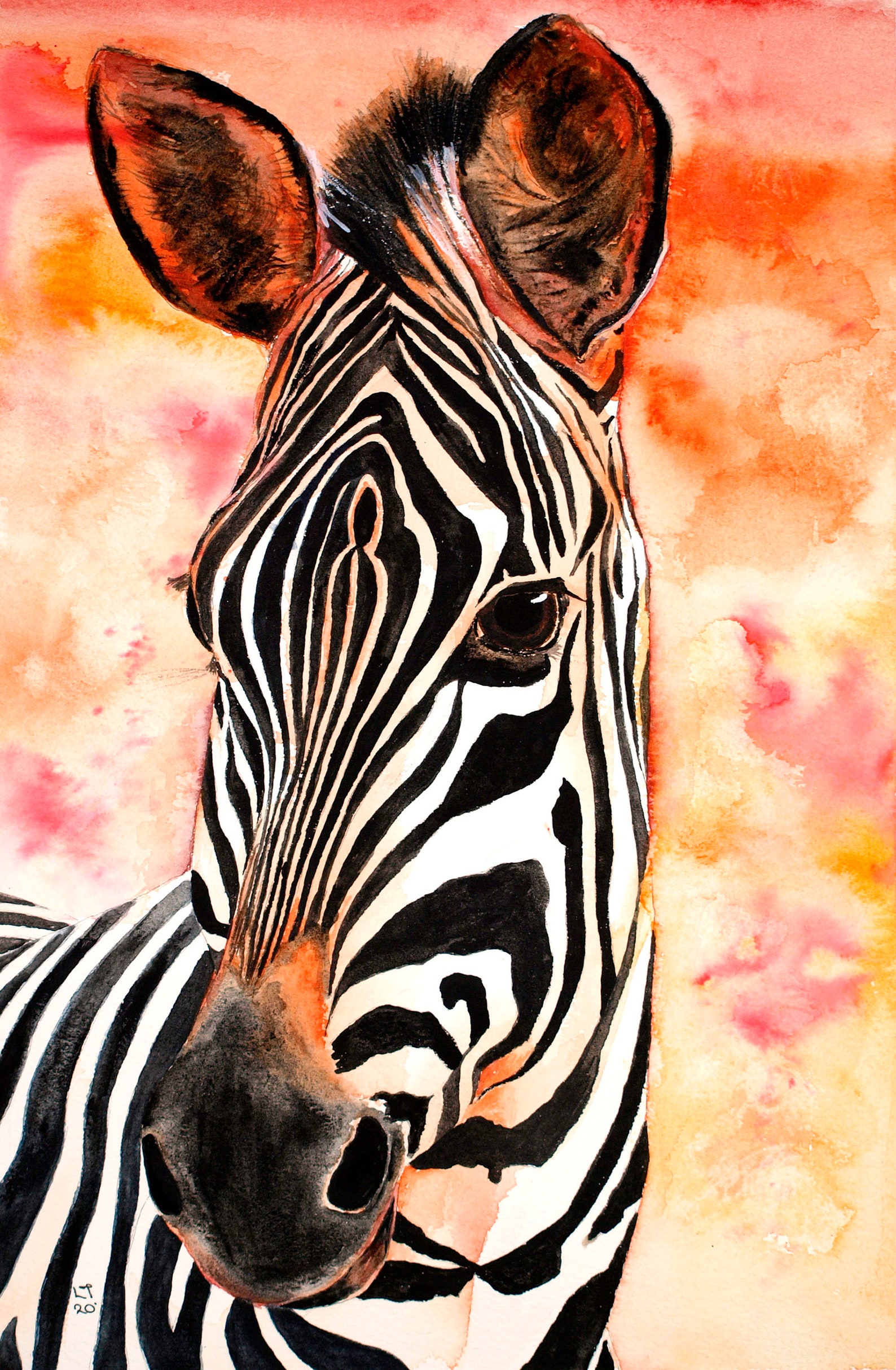 Original Zebra Print Zebra Watercolour art print Zebra | Etsy