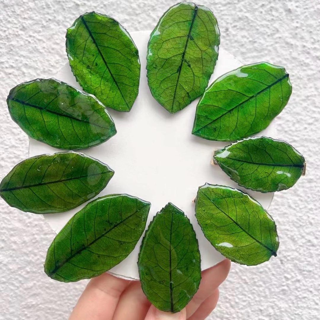 Real Rose Leaf Hair Clips – Water Lily, Fern, and Bamboo Leaf Resin ...