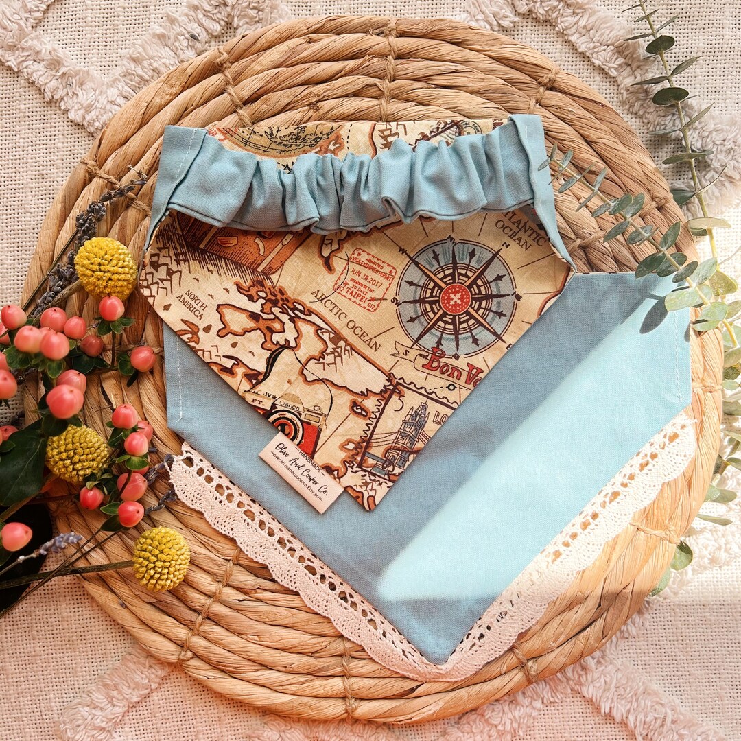 Moms Travel Buddy, Vintage Map, Compass, Baby Blue, Reversible, Over ...