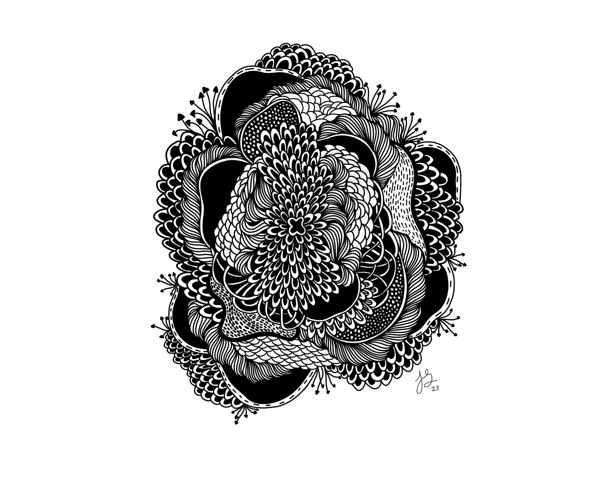 Black and White Abstract Line Art Print, Wall Art, Organic Line Art ...