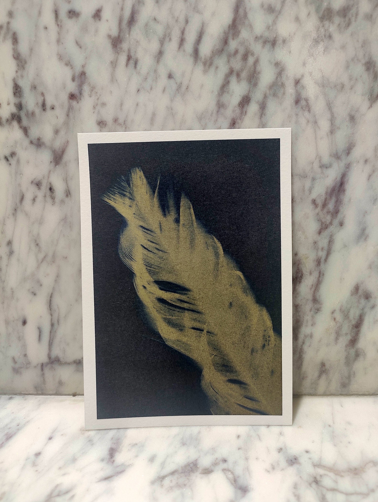 DIY Cyanotype Postcards Precoated (10 Nos) - Etsy