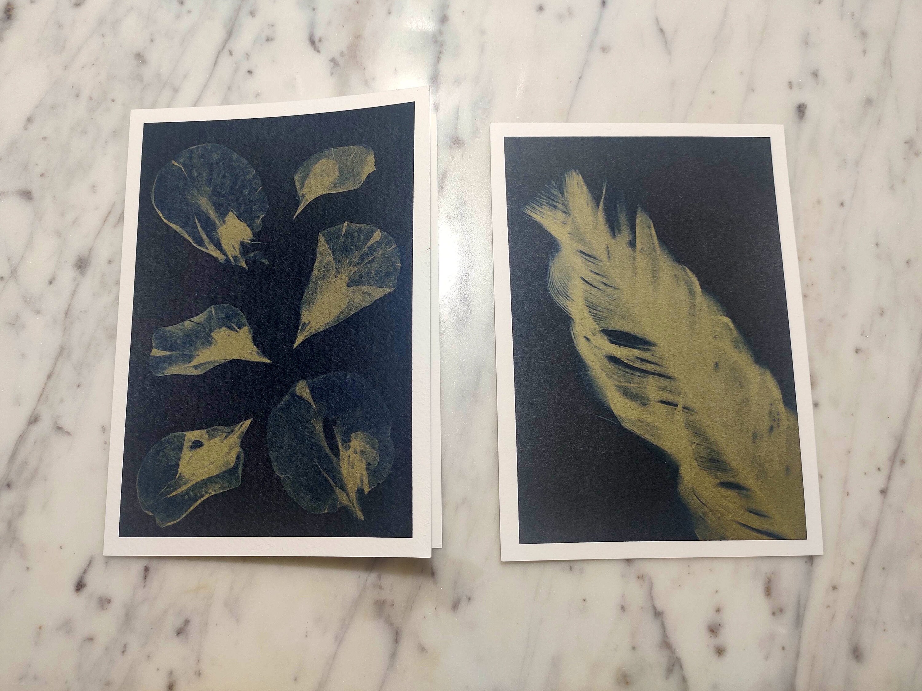 DIY Cyanotype Postcards Precoated (10 Nos) - Etsy