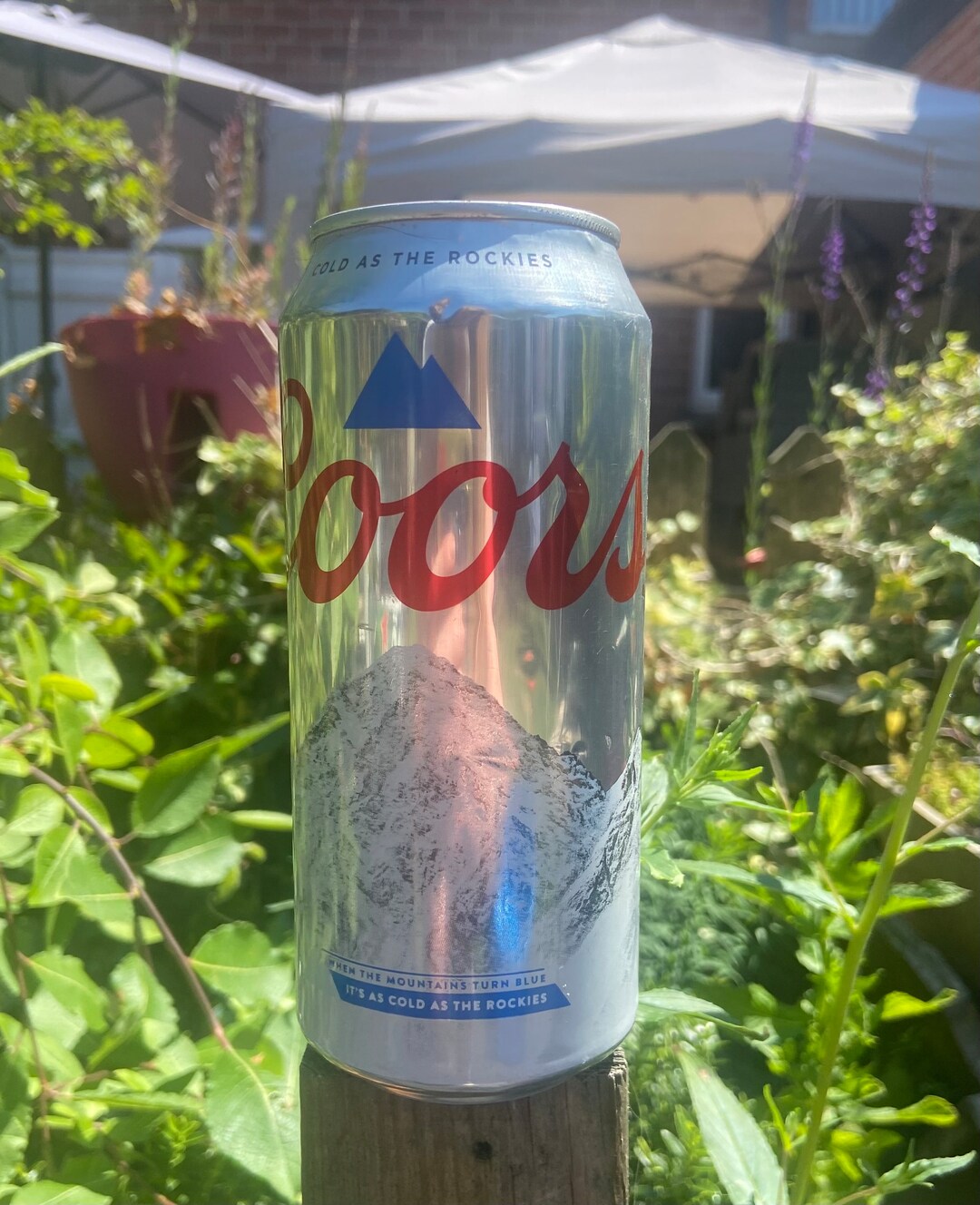 Coors Made to Order Beer Can Candle 30 Scents Gift for A Friend Summer ...