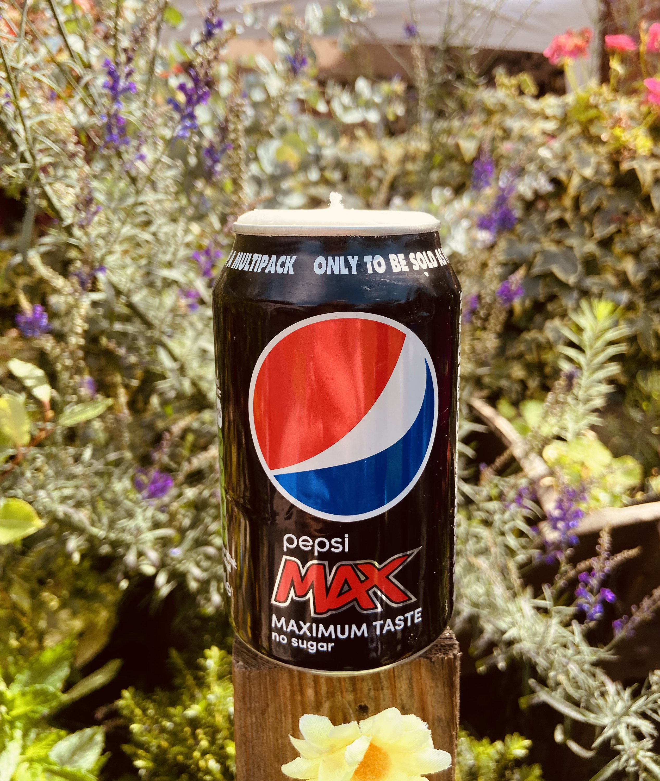Crushed Pepsi Max Can