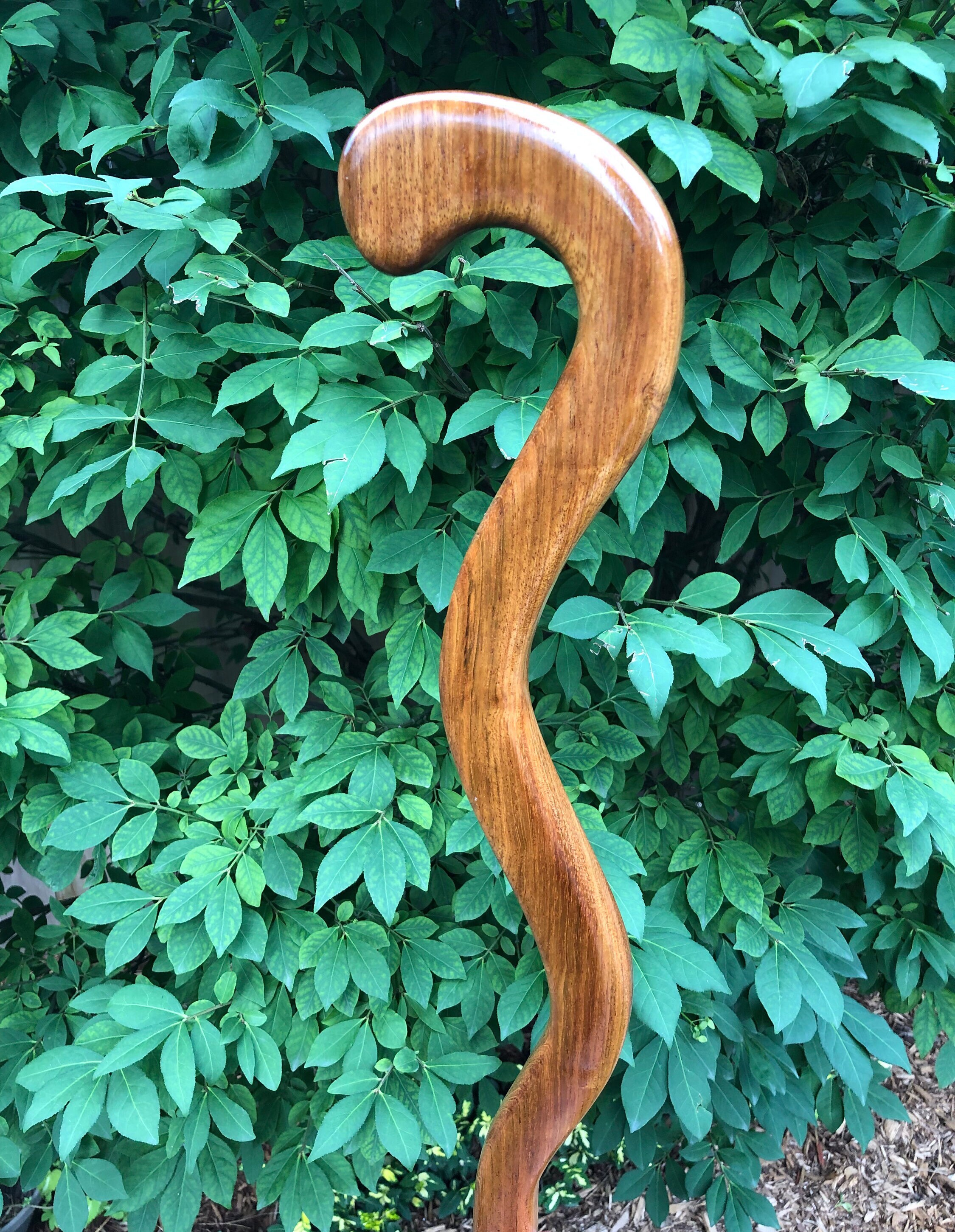 Handcrafted Walking Cane the Natural Solid - Etsy