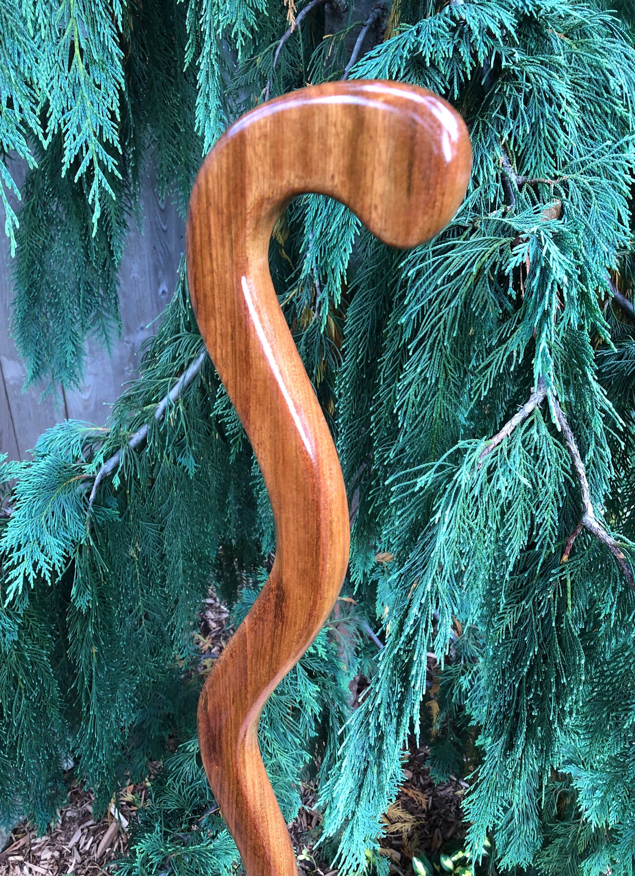 Handcrafted Walking Cane the Natural Solid - Etsy