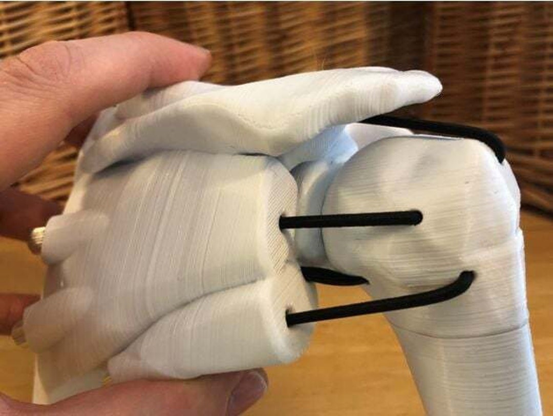 Anatomical Shoulder Rotator Cuff Model Physical Therapy Education - Etsy