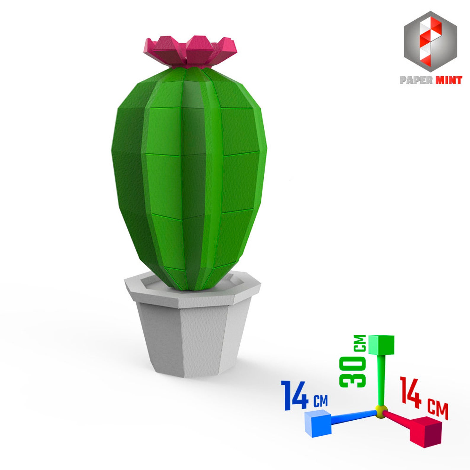 Printable DIY Papercraft Cactus Succulent 3D DIY Paper Model Minimalist ...