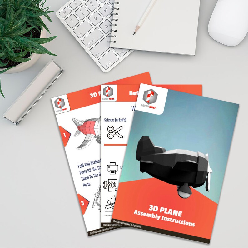 Printable DIY Papercraft Big Plane Model 3D Paper Model DIY Low Poly ...