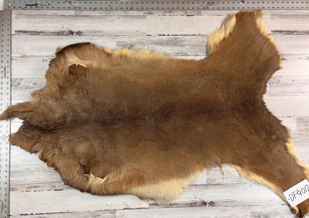 Whitetail Deer Skins, Grade A, Hair On, Tanned in USA, Rug, Decor ...