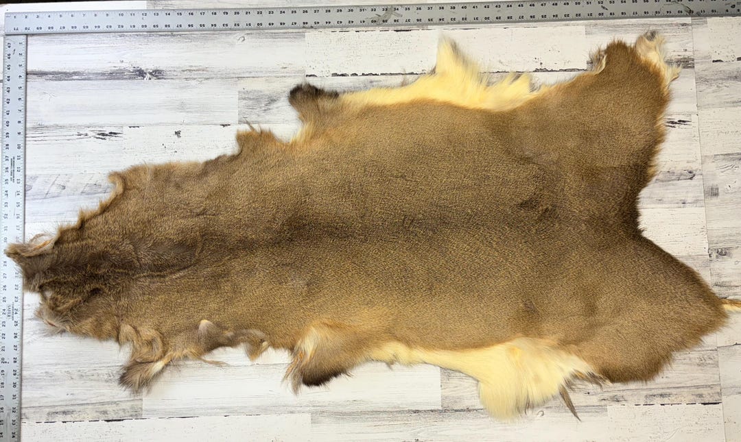 Tanned Whitetail Deer Hide, White Tail Deer Hide - Hair On, for Crafts, for Decorations, Rug ...