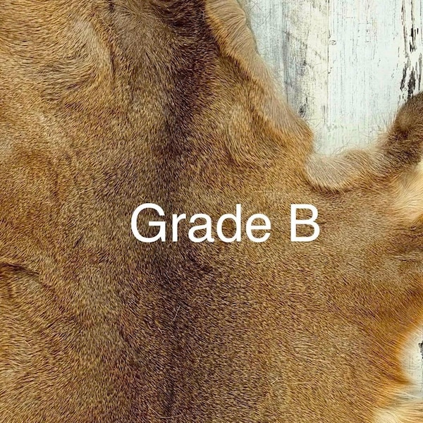 Whitetail Deer Hide - Etsy