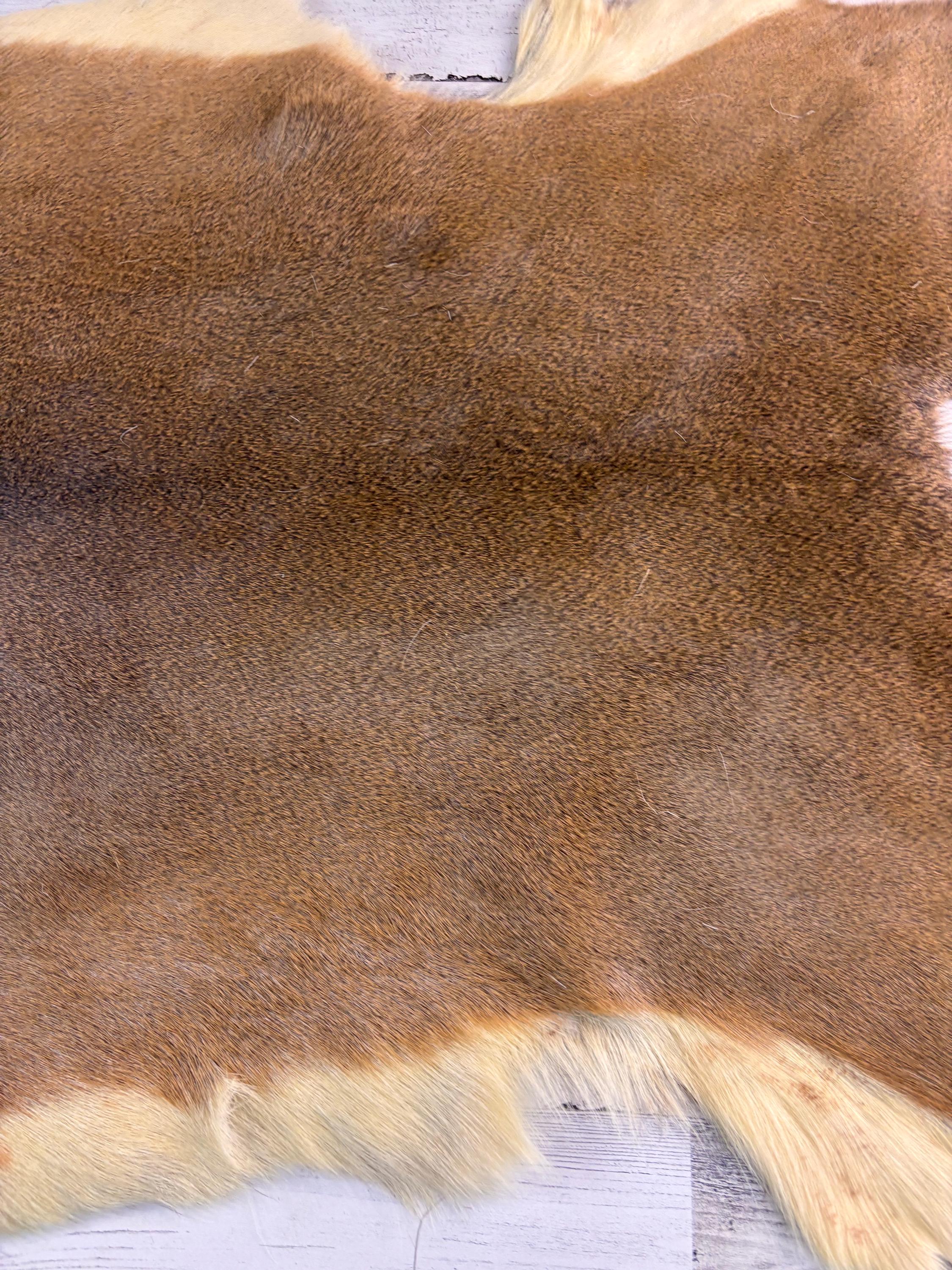 Whitetail Deer Skins, Grade A, Hair On, Tanned in USA, Rug, Decor ...
