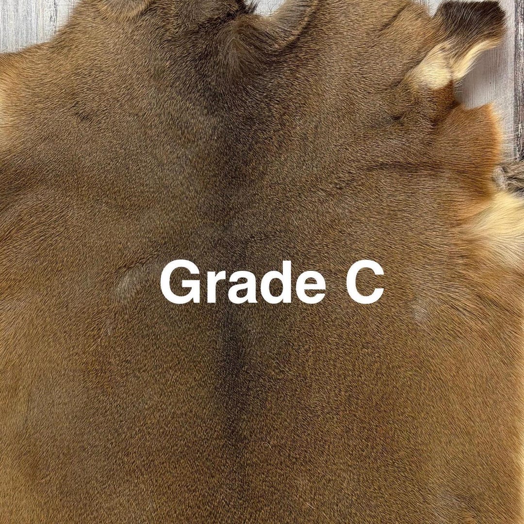 Tanned Whitetail Deer Hide, Grade C, Hair On, White Tail Deer Hide for ...
