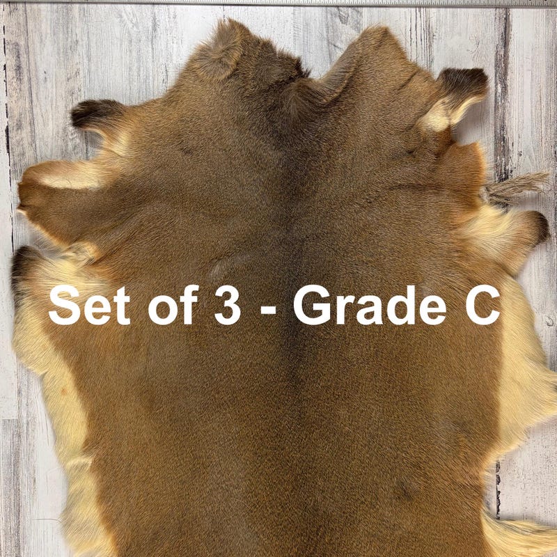 Whitetail Deer Hide - Etsy