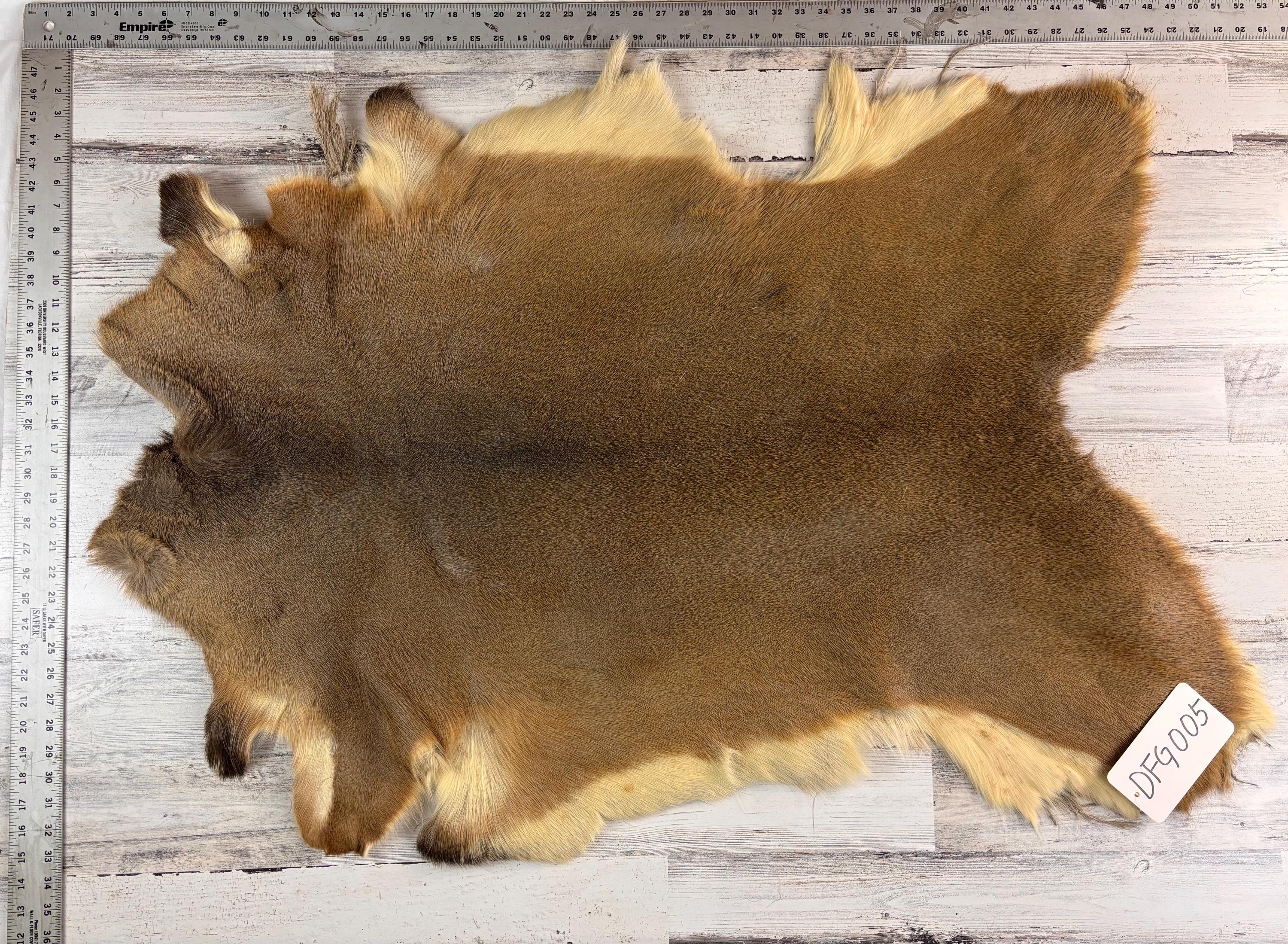 Whitetail Deer Skins, Grade A, Hair On, Tanned in USA, Rug, Decor ...
