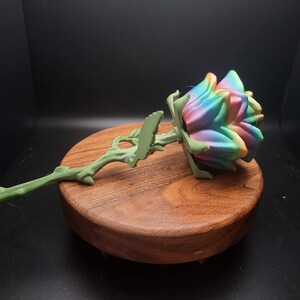 Rainbow Pride Rose - 3D Printed - Etsy