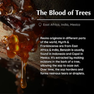 Spiritual Awareness Incense Bricks Gift Set With Incense Burner ...