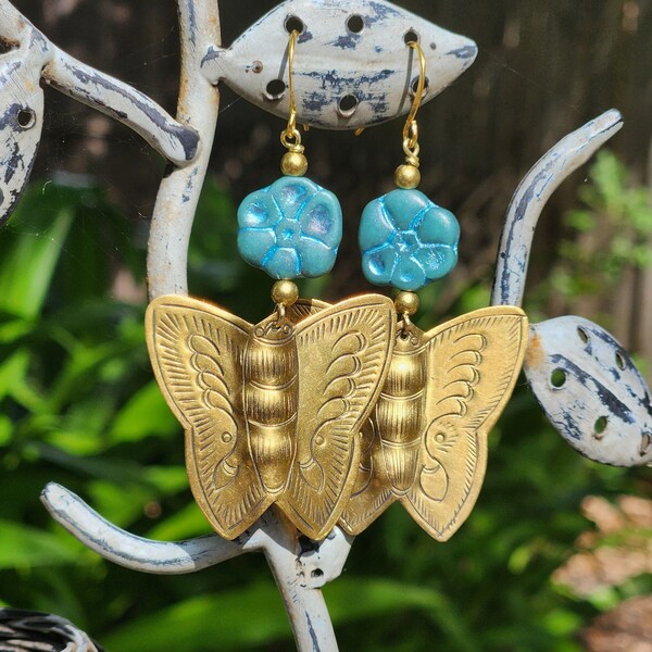 Mexican Primrose Plant - Etsy