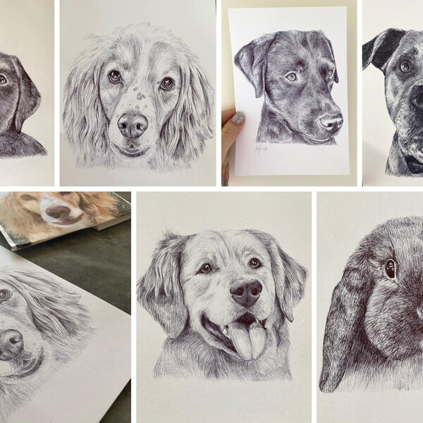 Custom Pet Drawing - Etsy