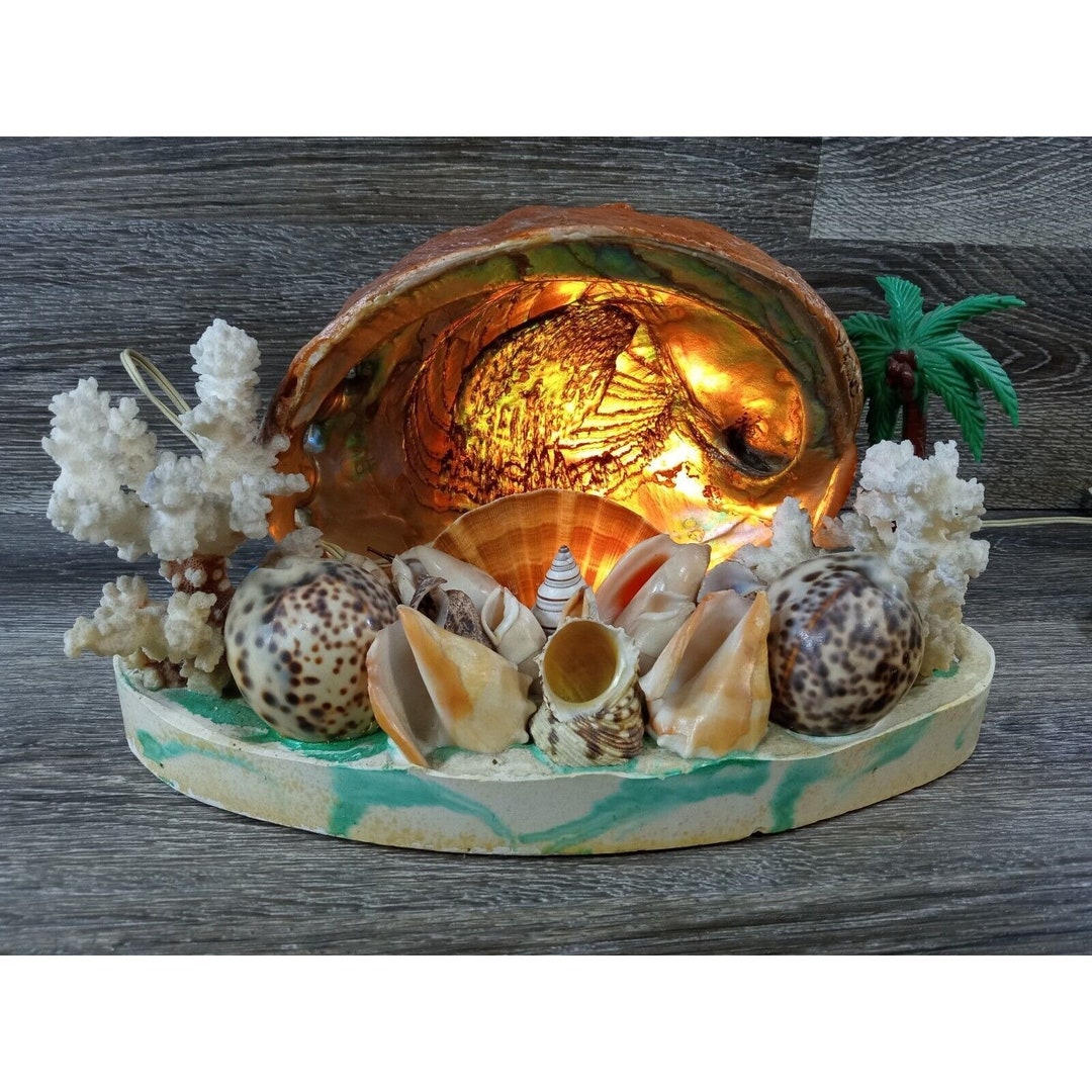 Vintage Lighted Seashell/coral Art Decor Handmade Lamp Light - Etsy