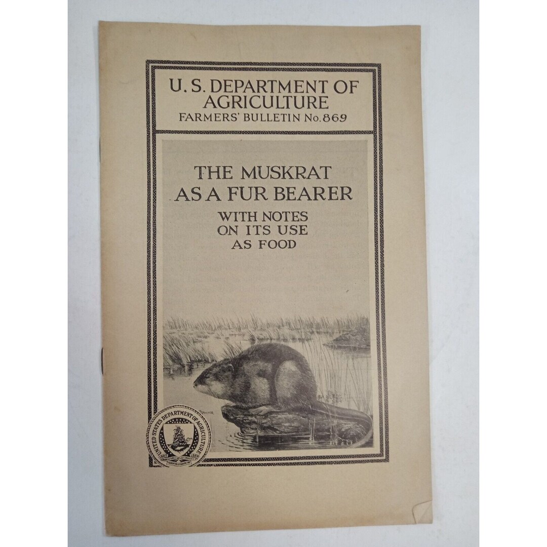 1926 the Muskrat as A Fur Bearer Farmers' Bulletin 869 US - Etsy