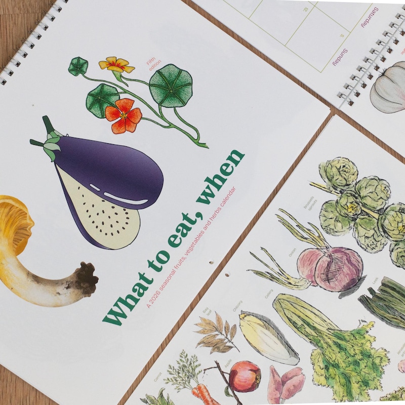 Fruit 2026 Calendar - Etsy UK