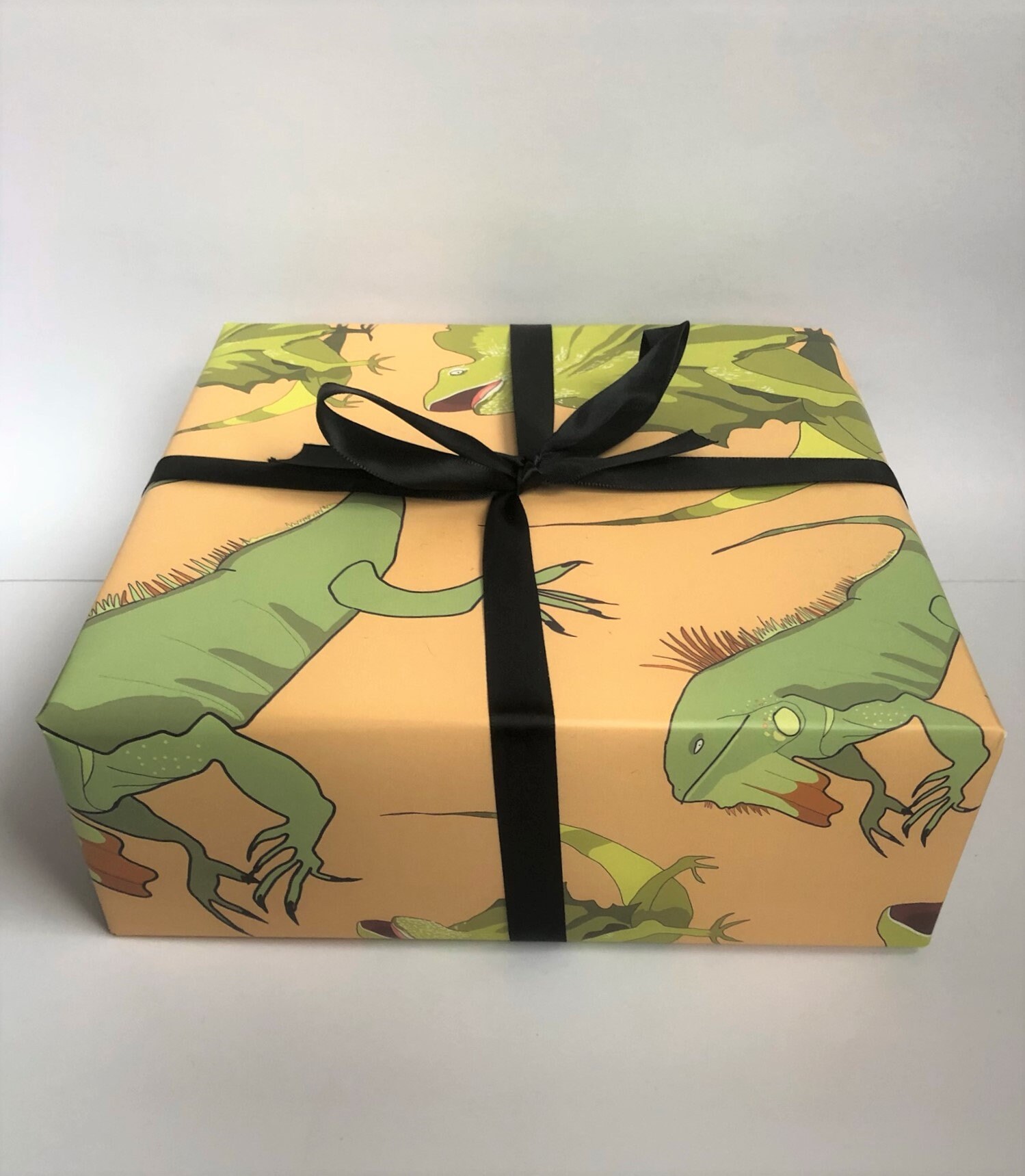 Lizard Wrapping Paper Funny Reptile Gift Wrap - Etsy