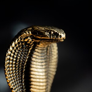 Wall Hook Cobra, Decorative Hooks, Brass Hook,coat Hook, Towel Hook ...