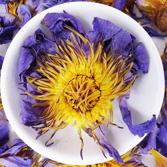 Organic Dried Blue Lotus Whole Flower Nymphaea Caerulea for | Etsy