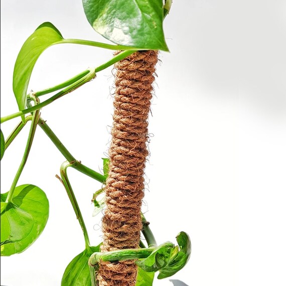 Coconut Husk Fiber Handmade Rope Coconut Fiber - Etsy