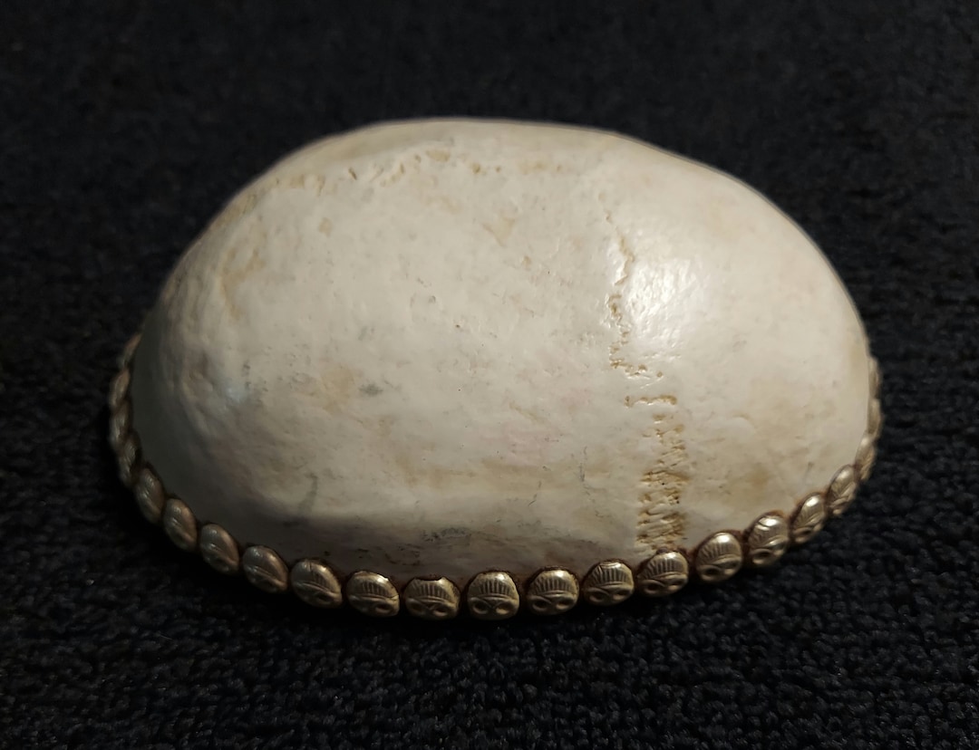 Tibetan Kapala skull Cap REPLICA, Bone Color - Etsy