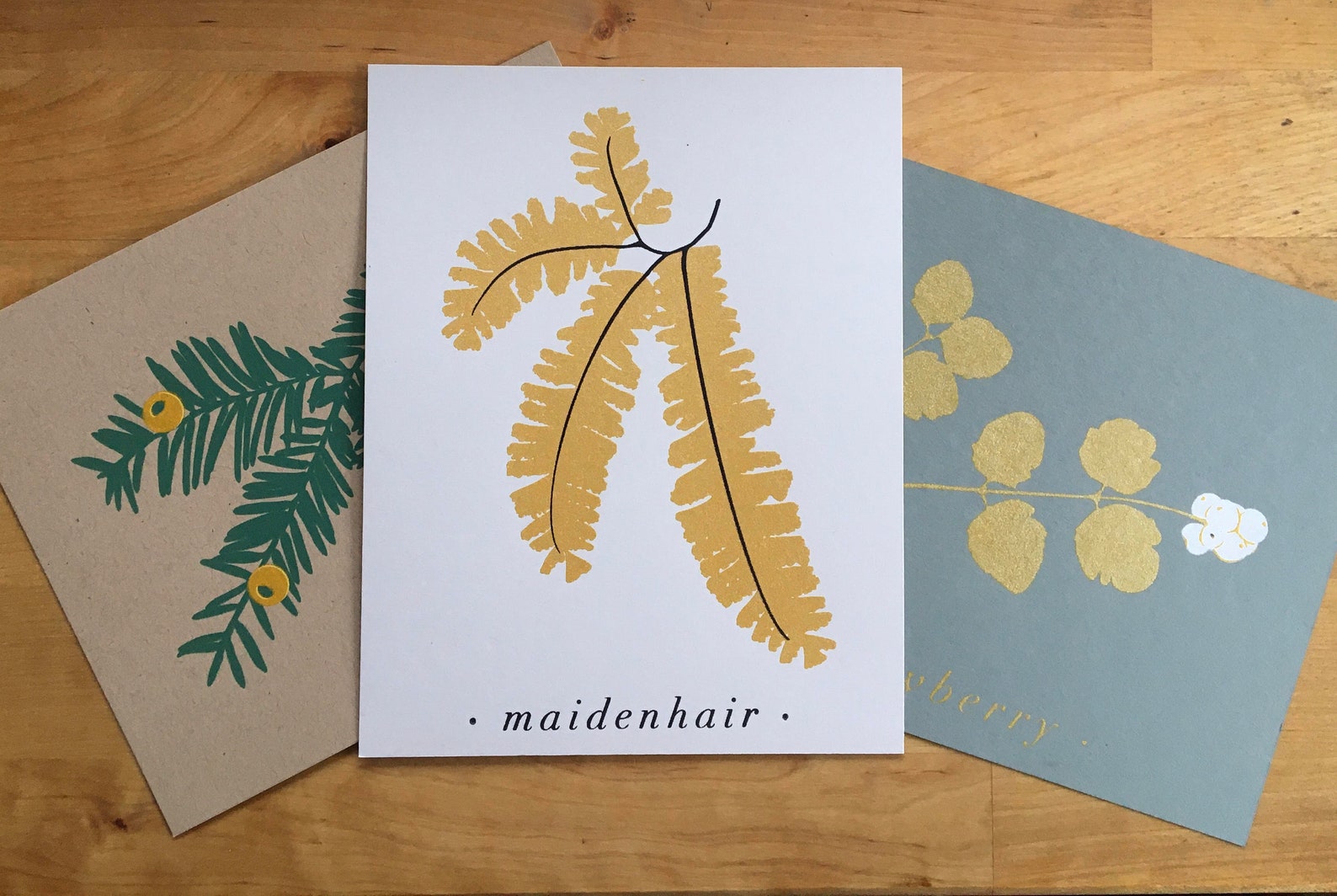 PNW Native Plants - Set of 3 - Yew, Maidenhair, Snowberry - Etsy