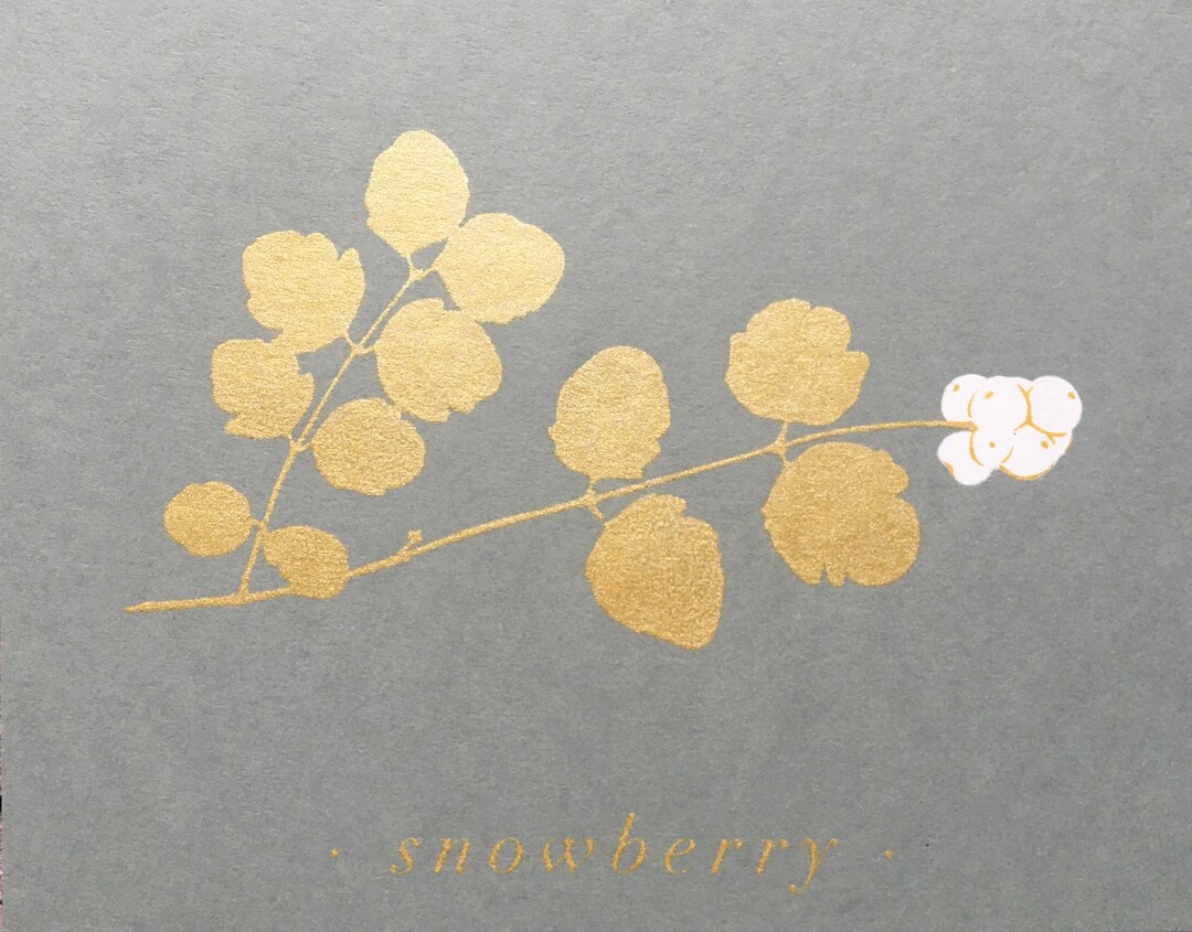 Pacific Northwest Native Snowberry - 2 Color Print (5.5" X 7") - Etsy