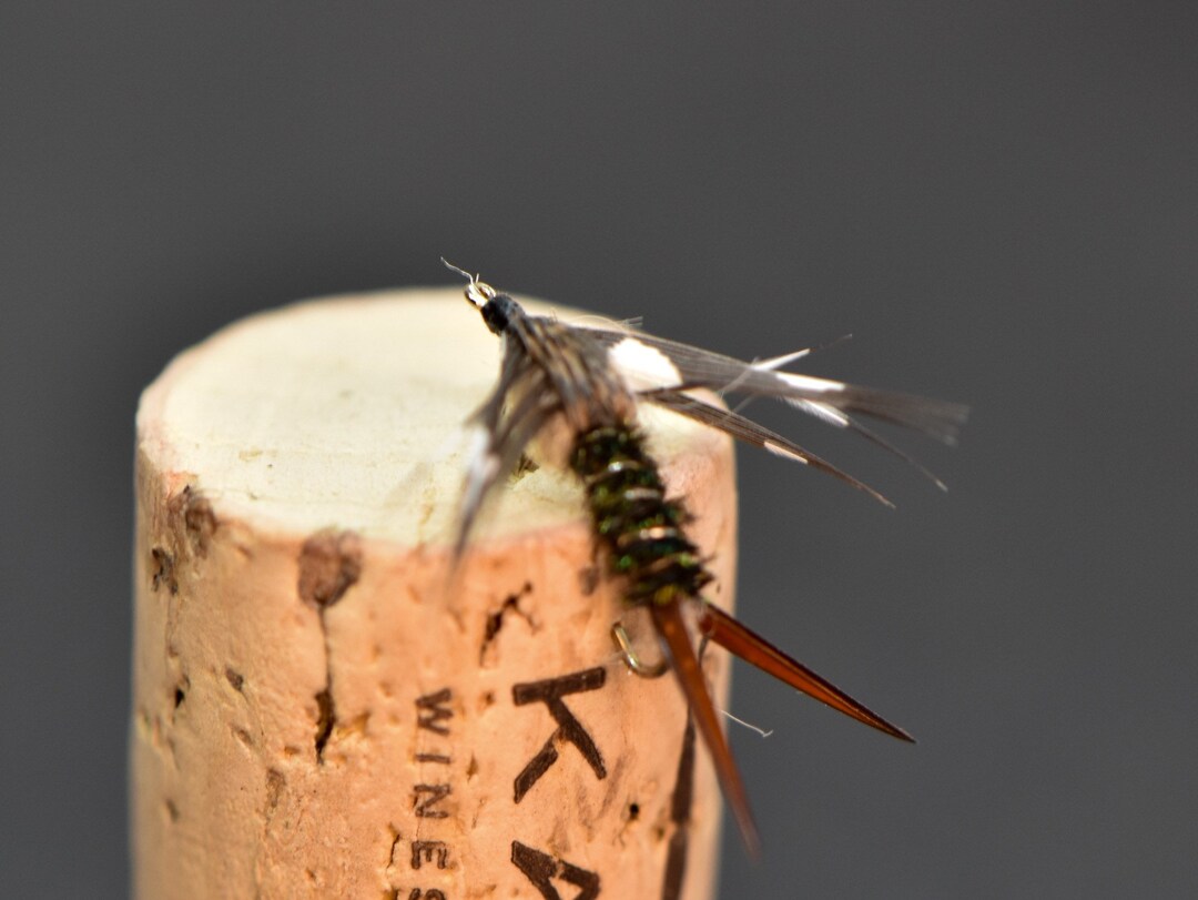 Fly Fishing Nymph Fly 20 Incher Lure Perfect for Flyfishing for Trout ...