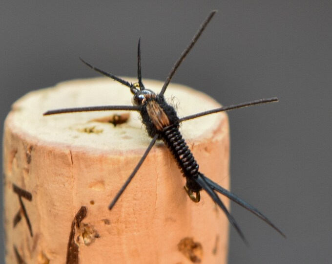 Fly Fishing Nymph Stone Dawg Fly Perfect for Imitating A Little Black ...
