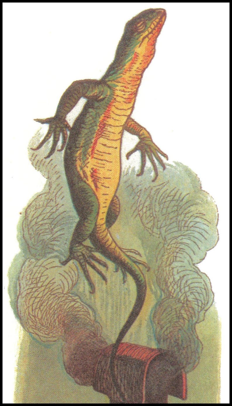 Digital Print , Alice in Wonderland, Lewis Carroll, 8 by 10, John ...